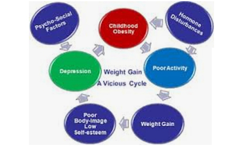 Weight Loss Diet & Programs for Kids | Eating Fit